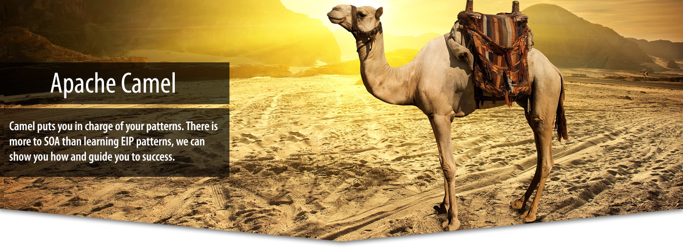 Apache Camel Savoir Technologies